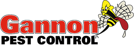 Pest Control In Syracuse, NY & Beyond | Gannon Pest Control